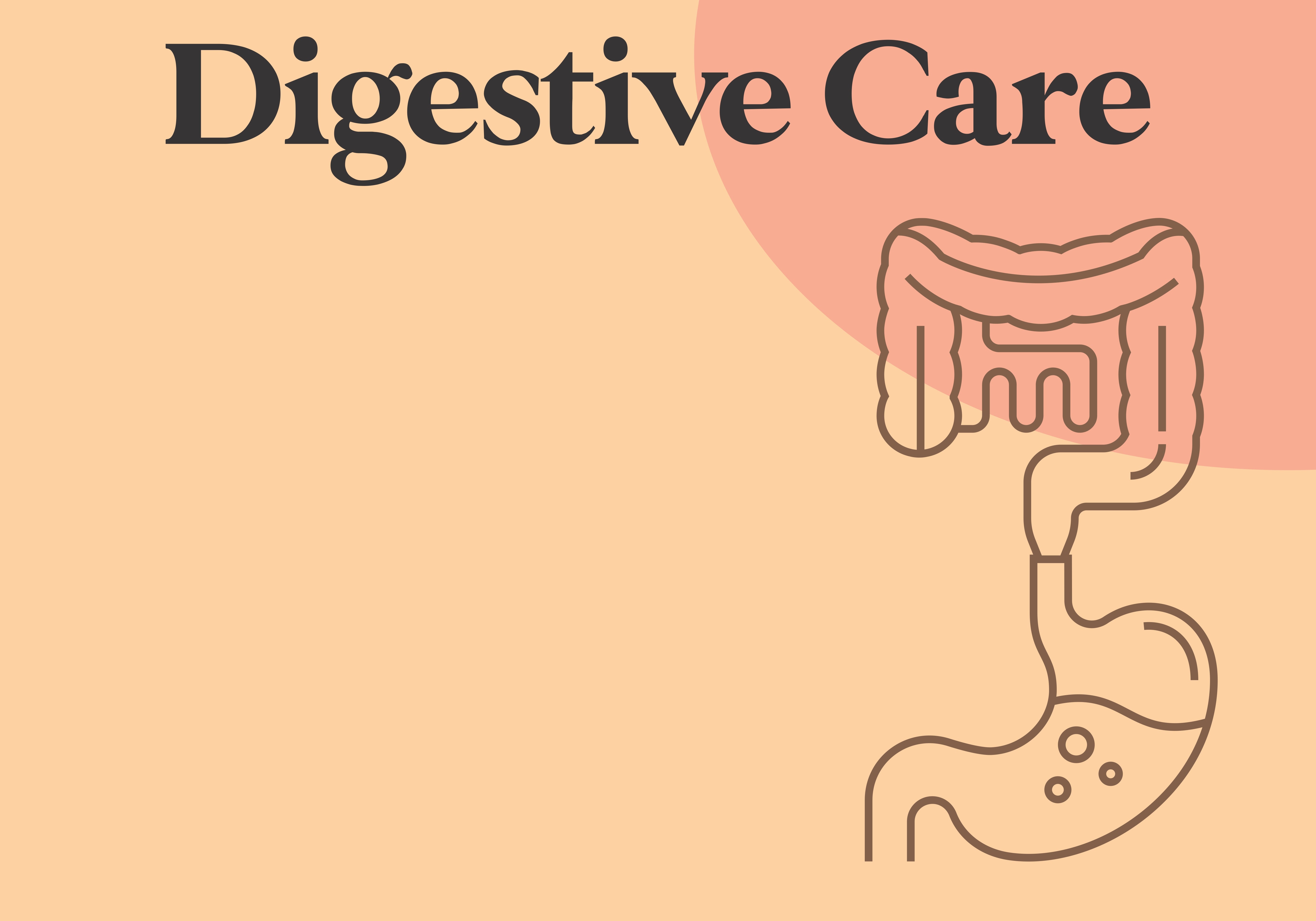 Digestion Care – Guapha Ayurveda